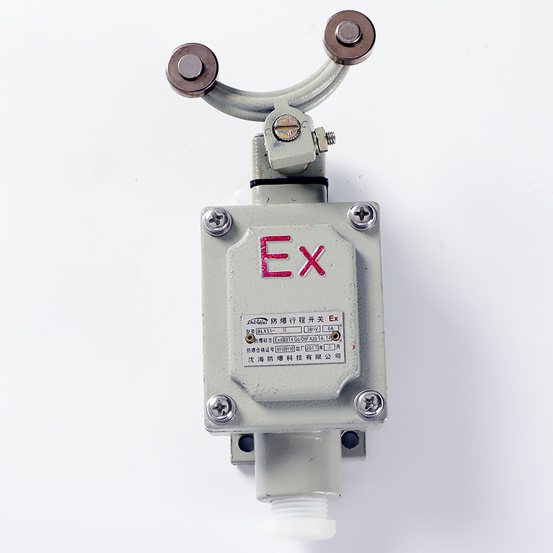 Explosion Proof Limit Switch BLX51-H | Product Center